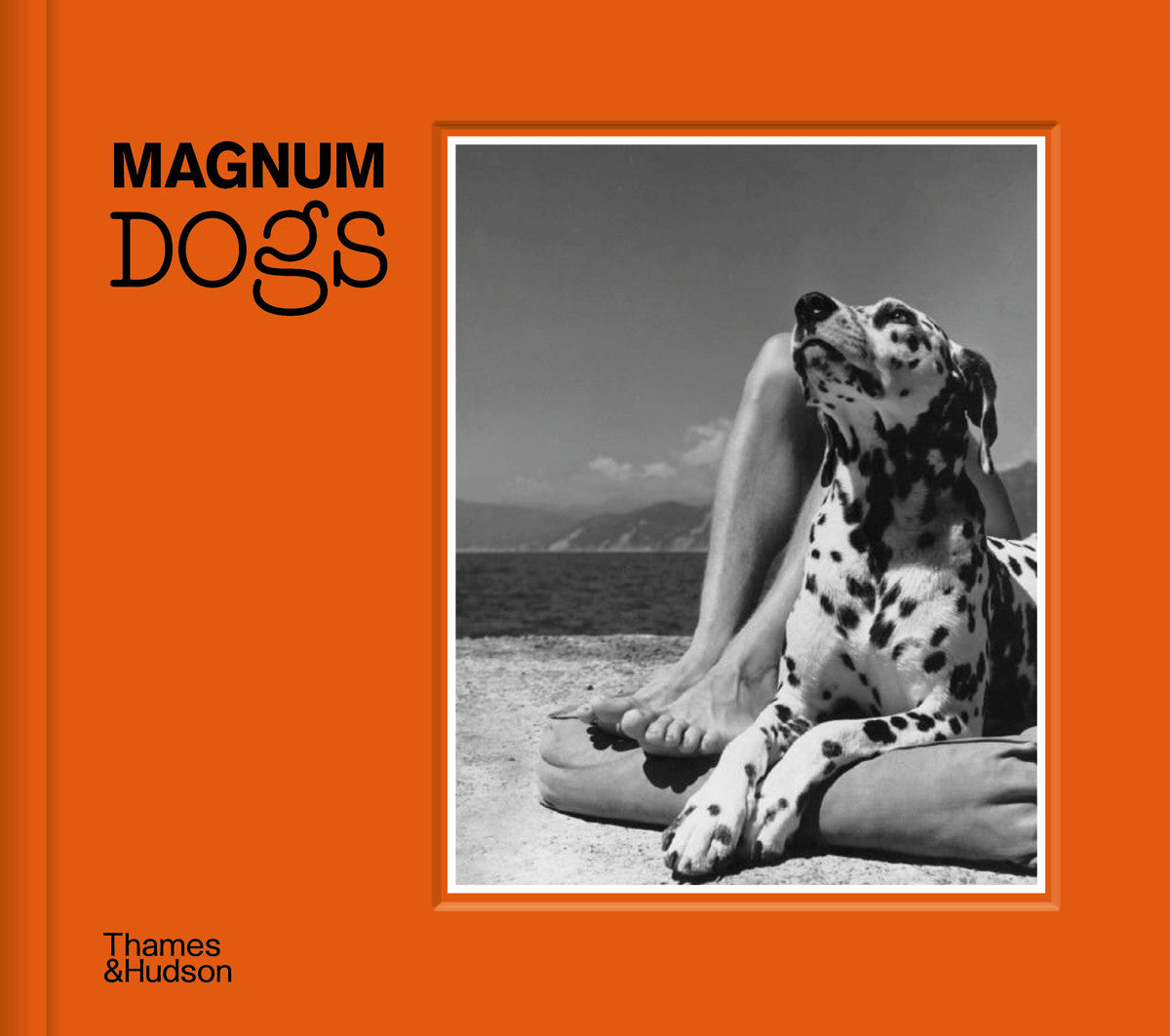 Magnum Dogs | Thames & Hudson Australia