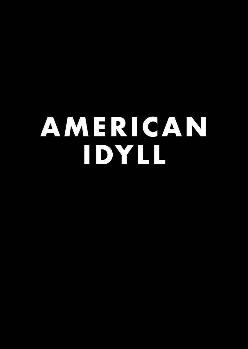 Todd R. Darling: American Idyll | Thames & Hudson Australia