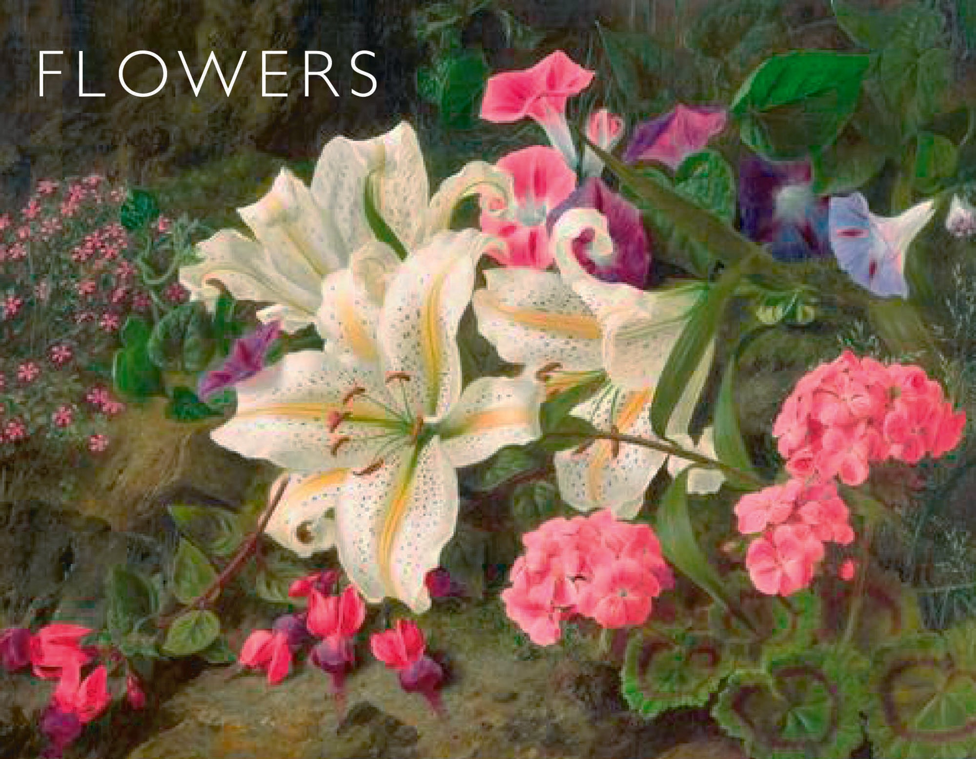 Flowers Greeting Card Set | Thames & Hudson Australia